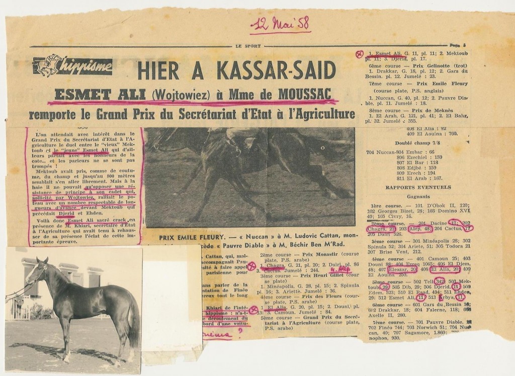 Esmet Ali: A Rebuttal – Daughters of the Wind